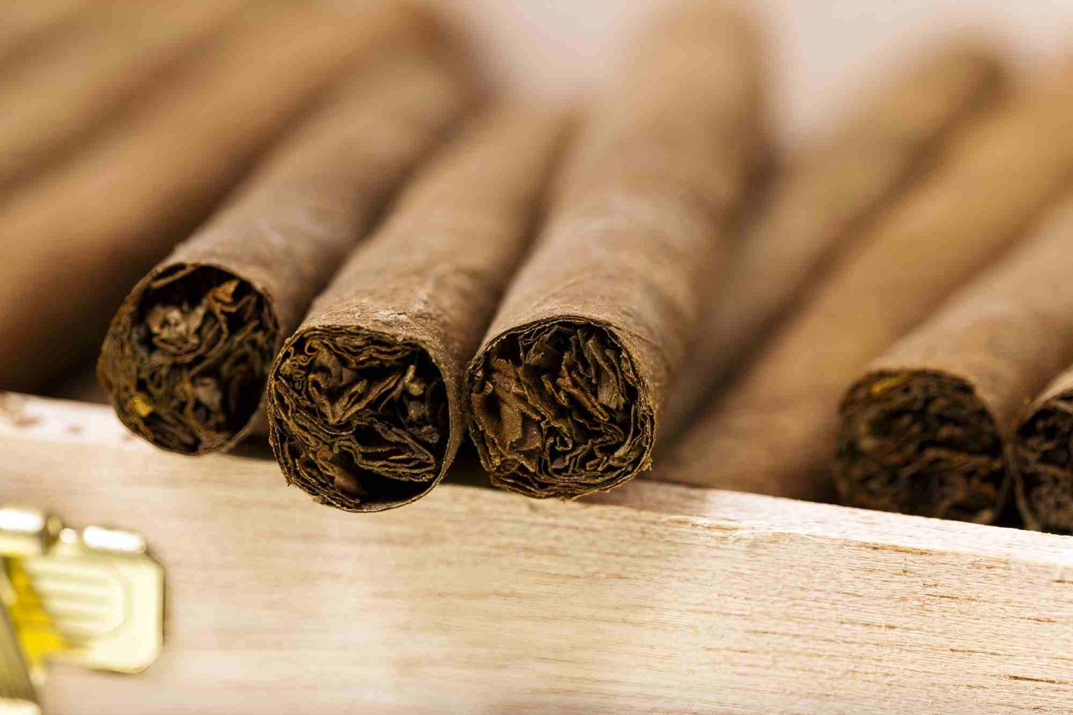 Top 10 Best Cigars for the Ultimate Smoking Experience